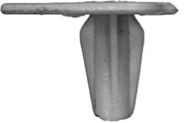 Universal Push-In Type Molding Clip Nylon – Kent Automotive